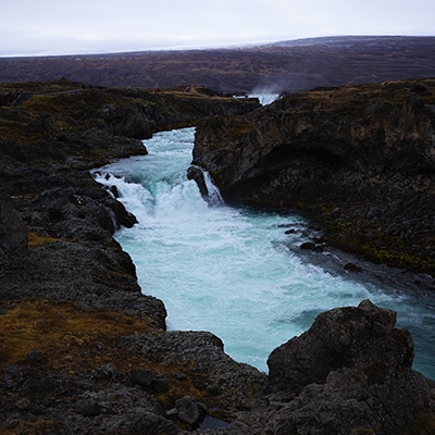 X System Sample Images